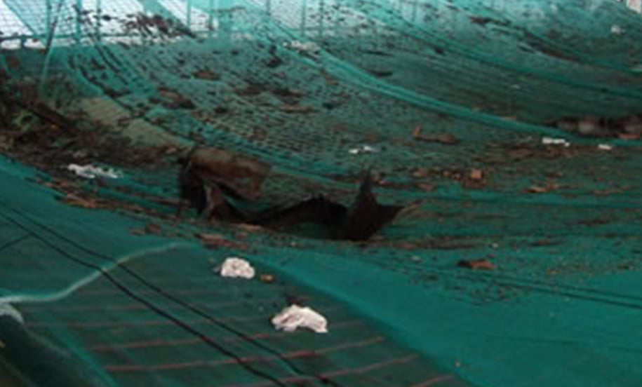 PMC Safety Netting